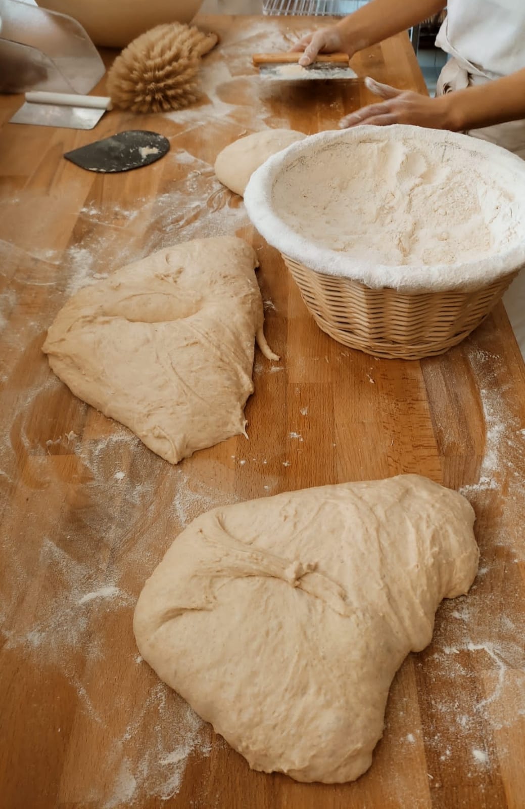 Dates stage découverte pain au levain (1 jour) sur 2023 - Au gré du levain